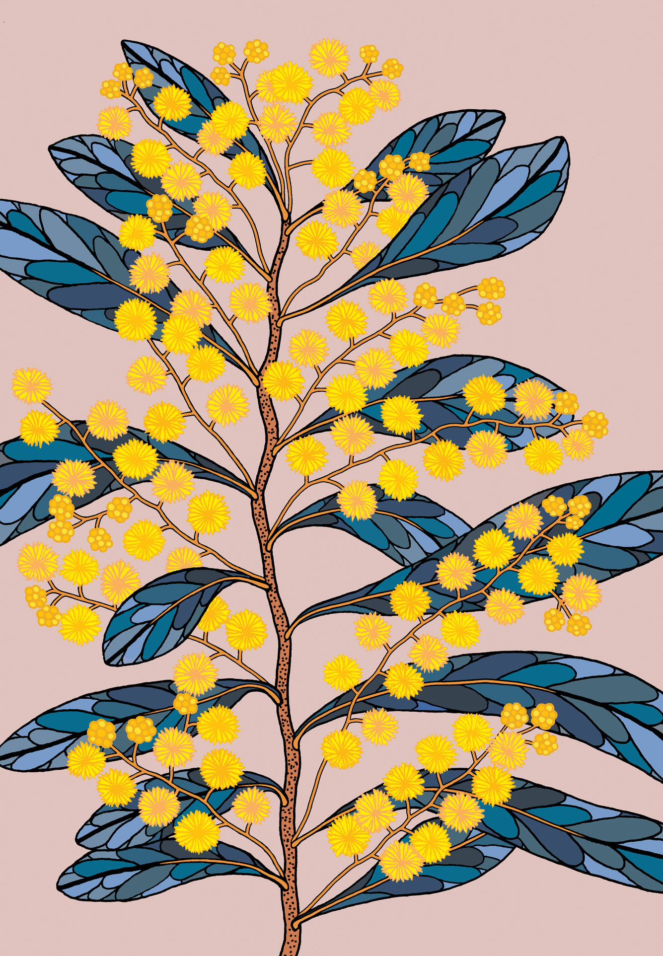 Golden Wattle Floral Emblem of Australia Greeting Card