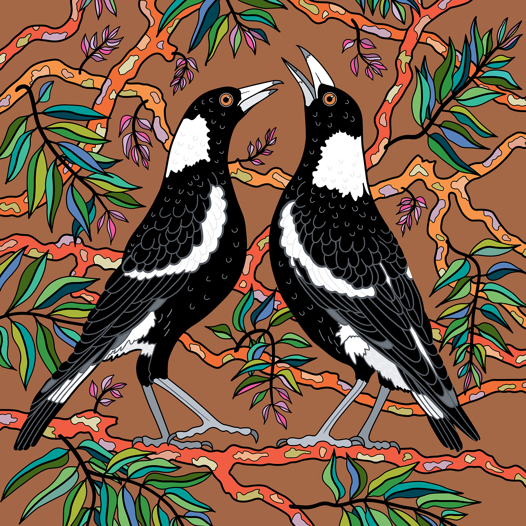 Magpies on Angophora Bird and Native Plant Art Greeting Card